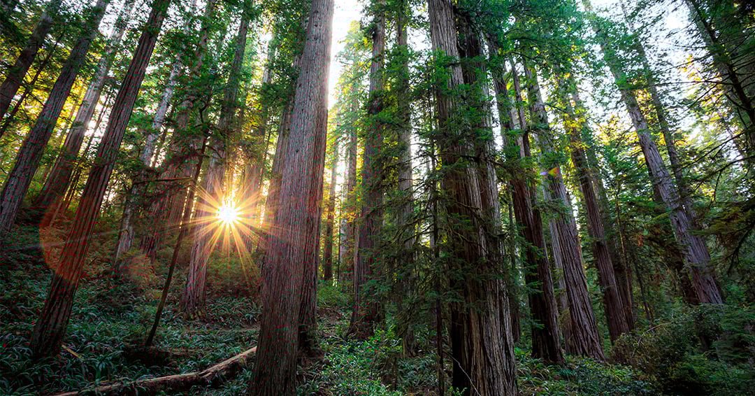 Masisa | Transform your spaces